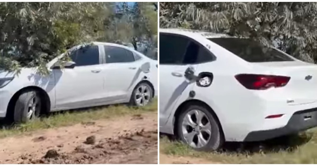 Identificaron a la pareja muerta a balazos en un auto en San Antonio de Areco | Avance Nacional